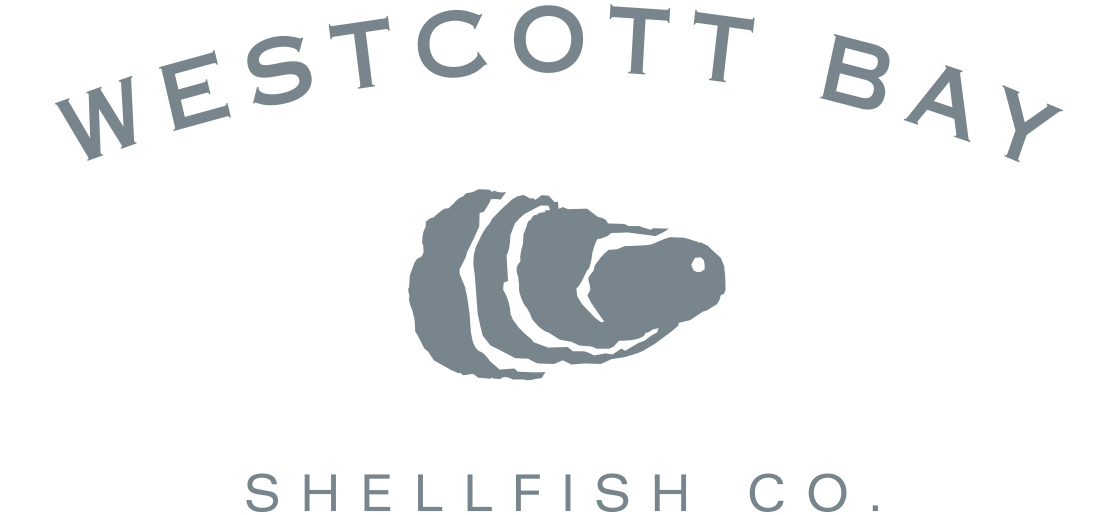 Oysters | WESTCOTT BAY SHELLFISH